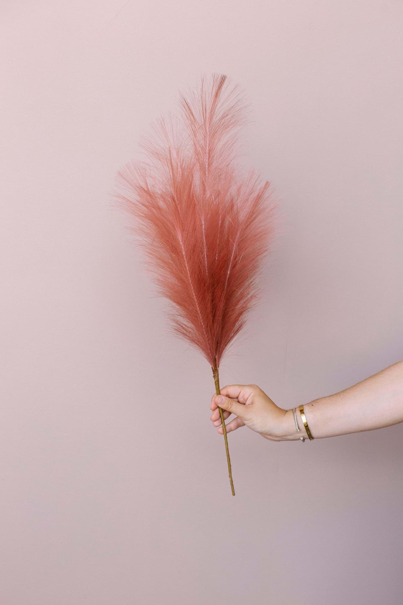 Something Borrowed Blooms